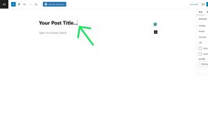 How to Create a New Blog Post on WordPress | We Design Marbella